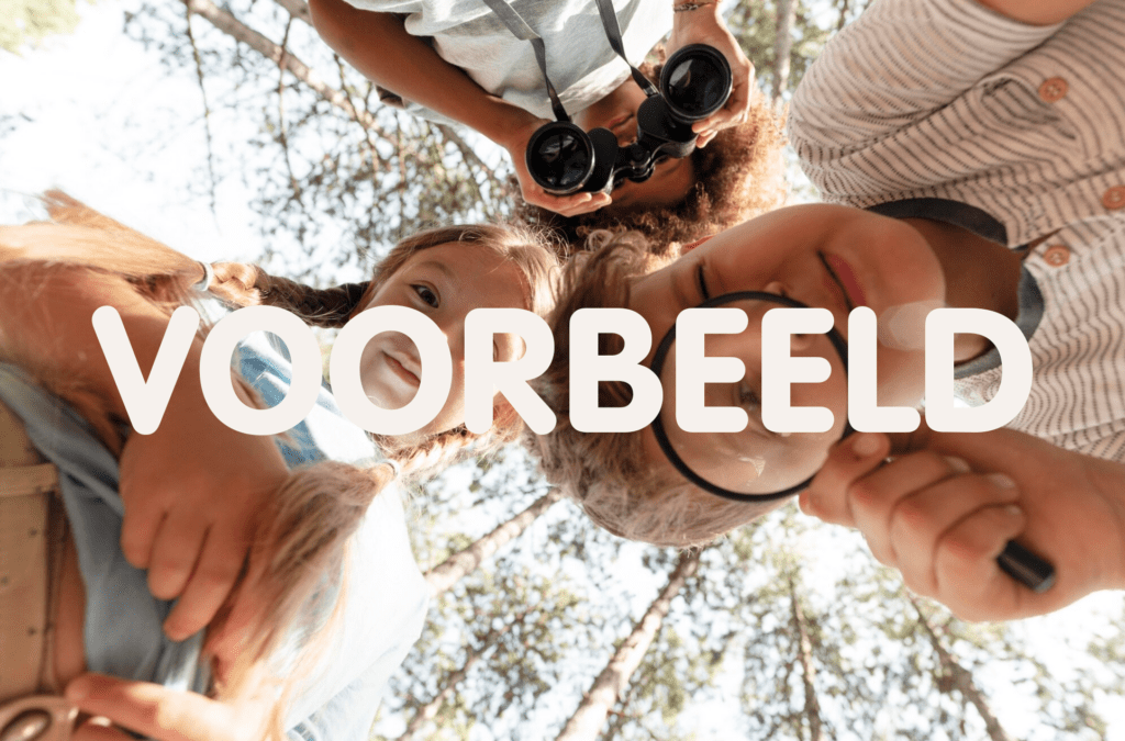 Voorbeeld Reisverslag - Zomertreffen
